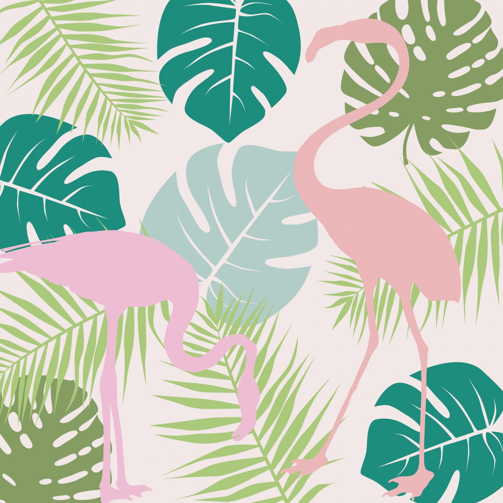 Tropical Flamingo Wallpapers - Top Free Tropical Flamingo Backgrounds ...