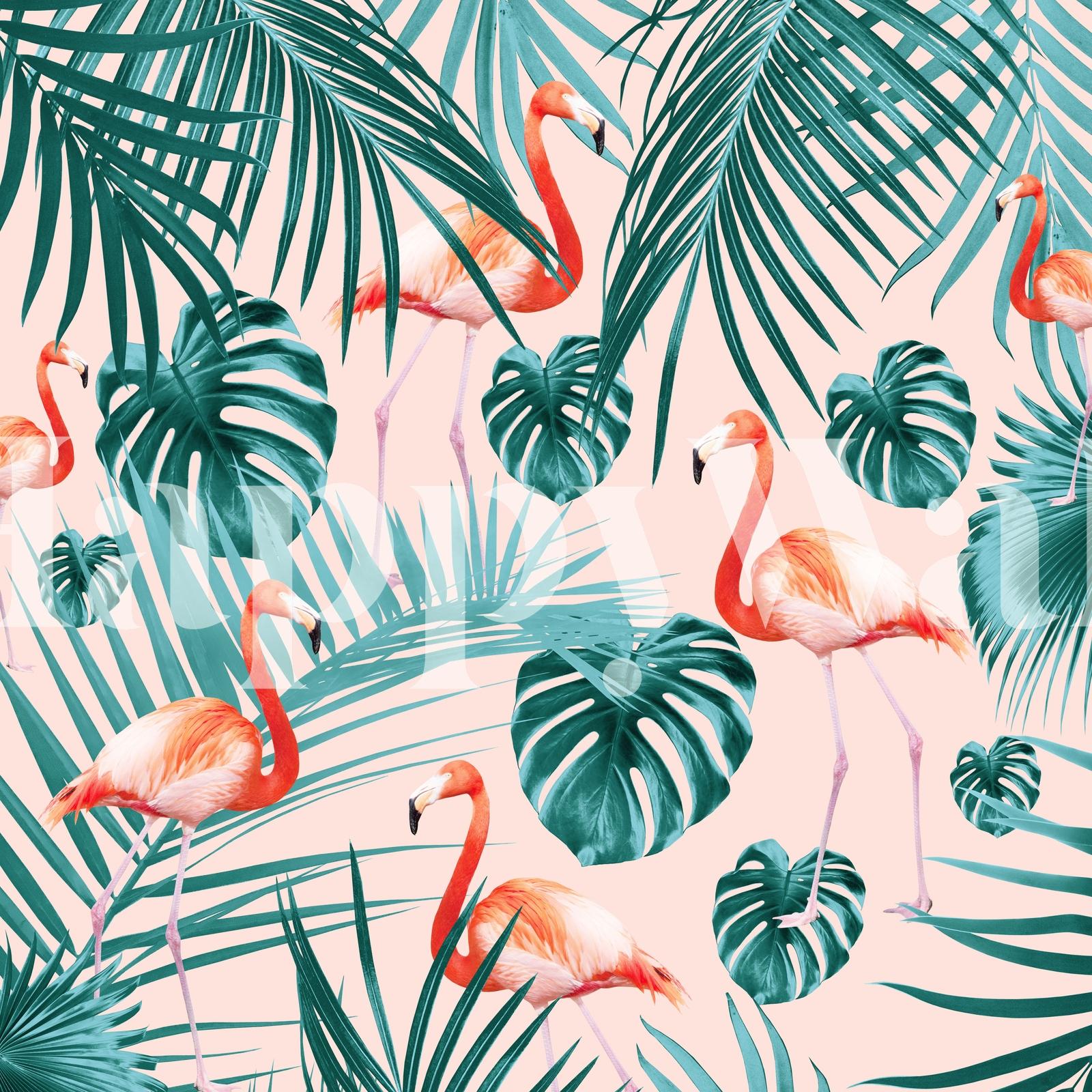 Tropical Flamingo Wallpapers - Top Free Tropical Flamingo Backgrounds ...