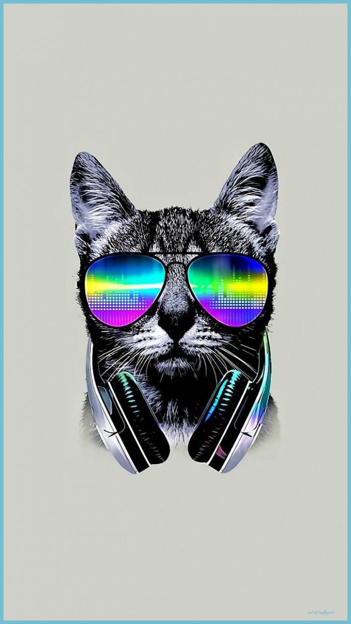 Modern Cat Wallpapers - Top Free Modern Cat Backgrounds - WallpaperAccess