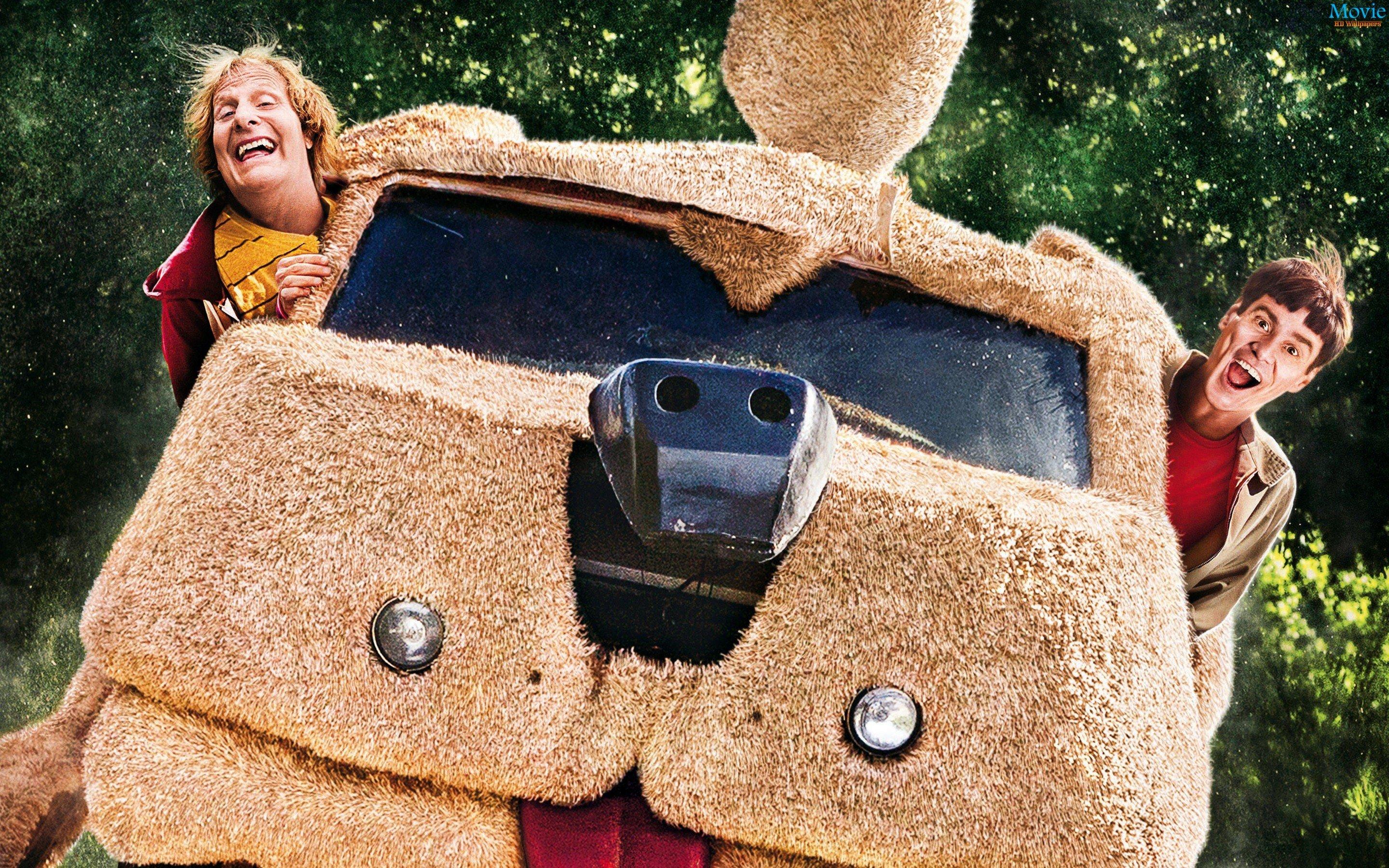 Dumb and Dumber Computer Wallpapers - Top Free Dumb and Dumber Computer ...