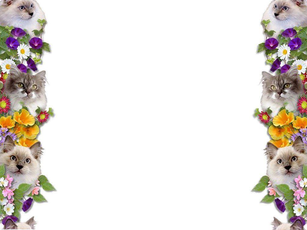 Modern Cat Wallpapers - Top Free Modern Cat Backgrounds - WallpaperAccess