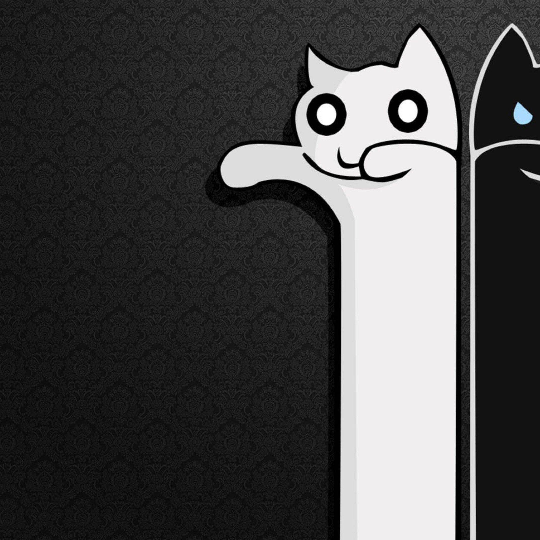 Modern Cat Wallpapers - Top Free Modern Cat Backgrounds - WallpaperAccess