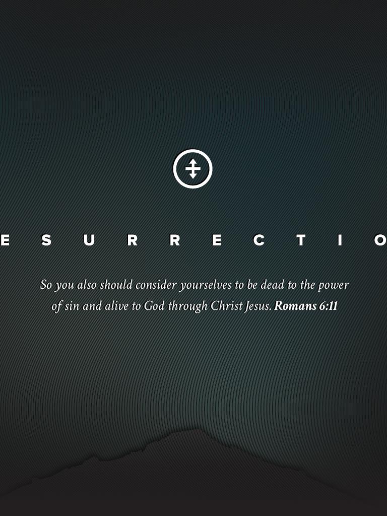 Reformed Wallpapers - Top Free Reformed Backgrounds - WallpaperAccess