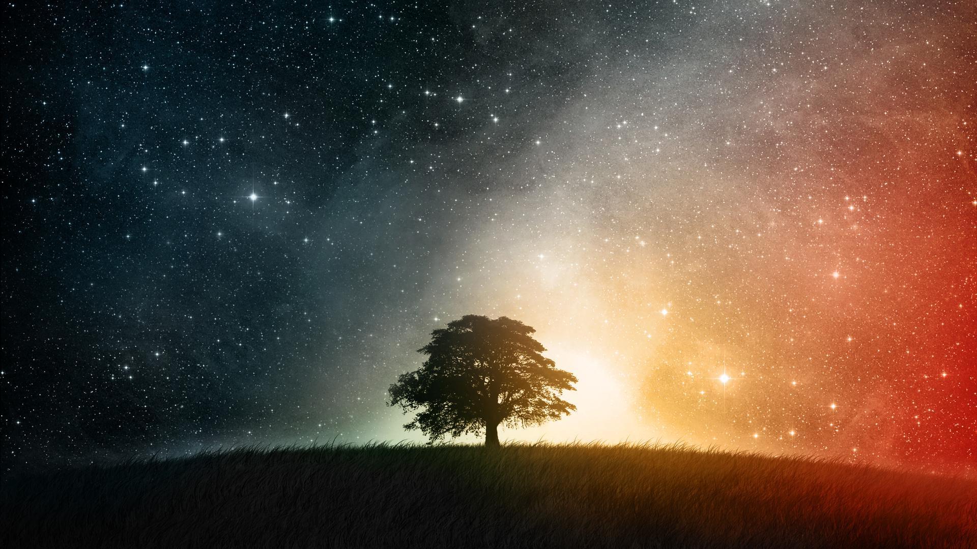 Night Trees Desktop Wallpapers - Top Free Night Trees Desktop ...