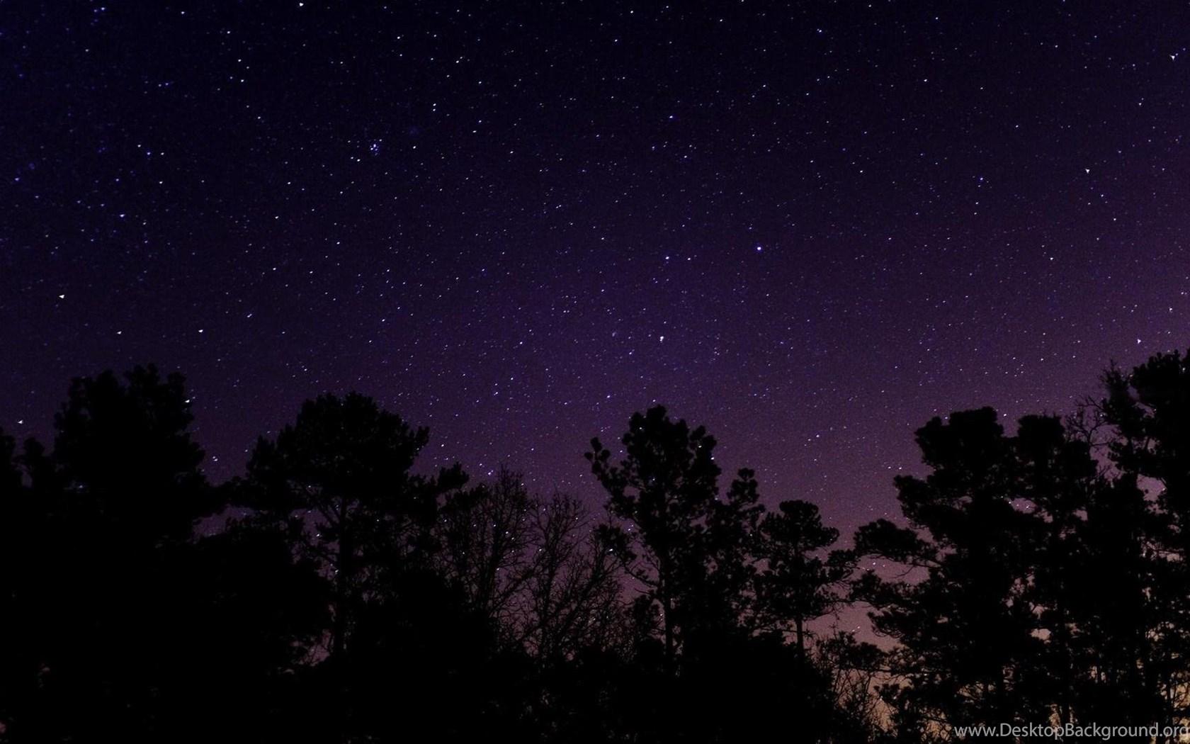 Night Trees Desktop Wallpapers - Top Free Night Trees Desktop ...