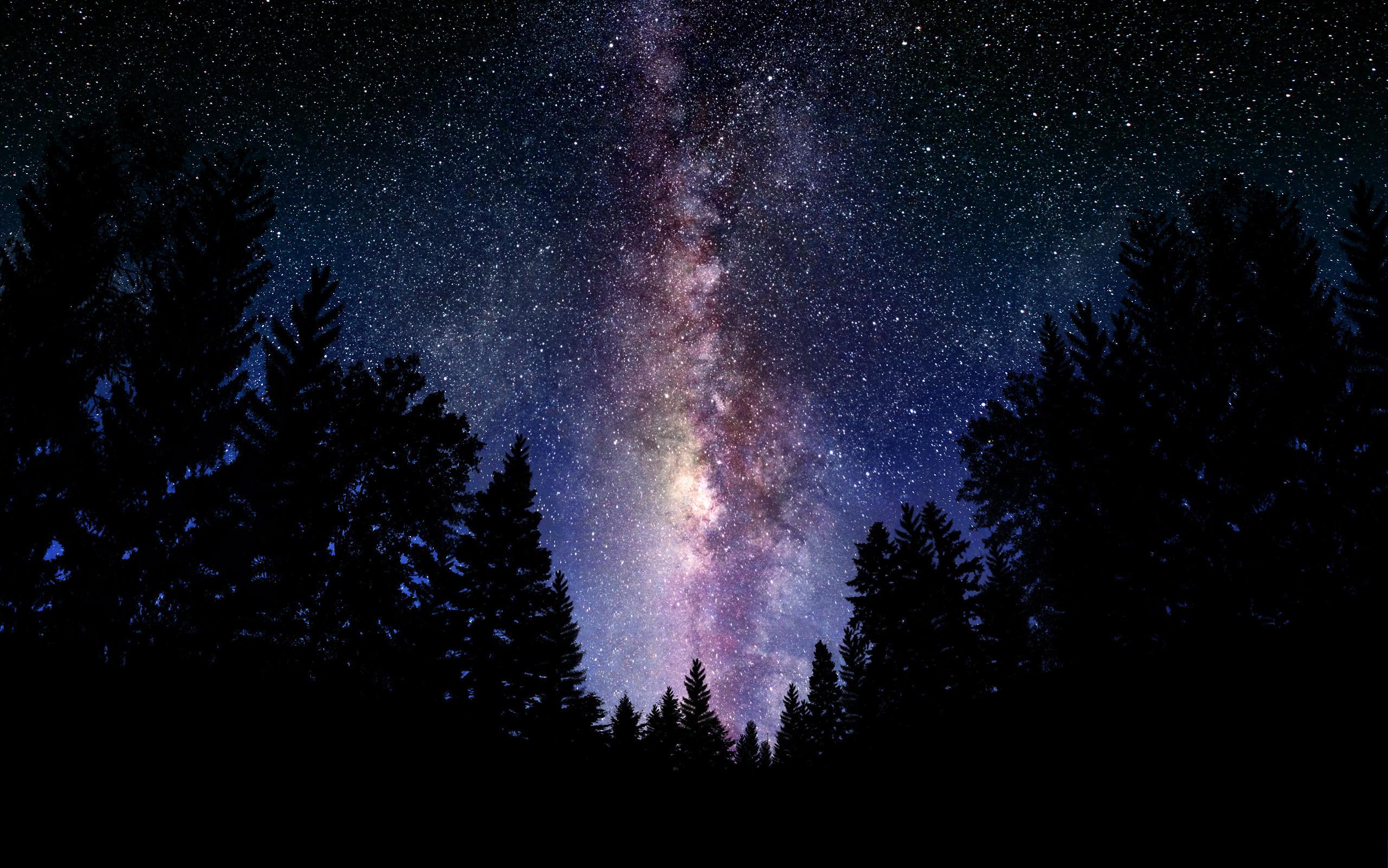 Night Trees Desktop Wallpapers - Top Free Night Trees Desktop ...