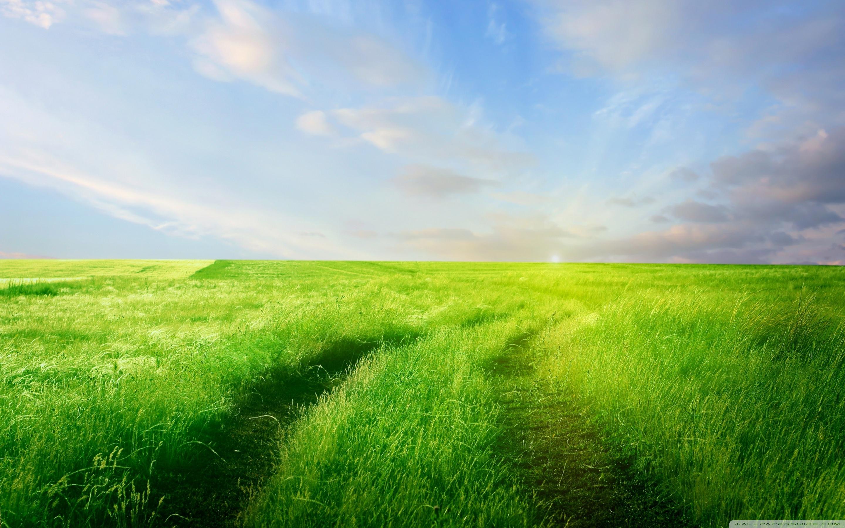 Open Sky Wallpapers - Top Free Open Sky Backgrounds - WallpaperAccess