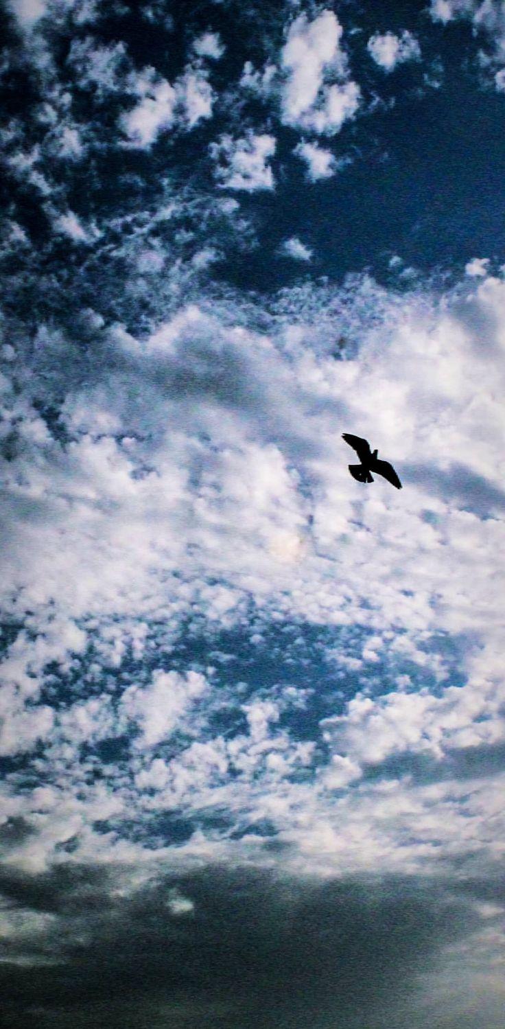 Open Sky Wallpapers - Top Free Open Sky Backgrounds - WallpaperAccess