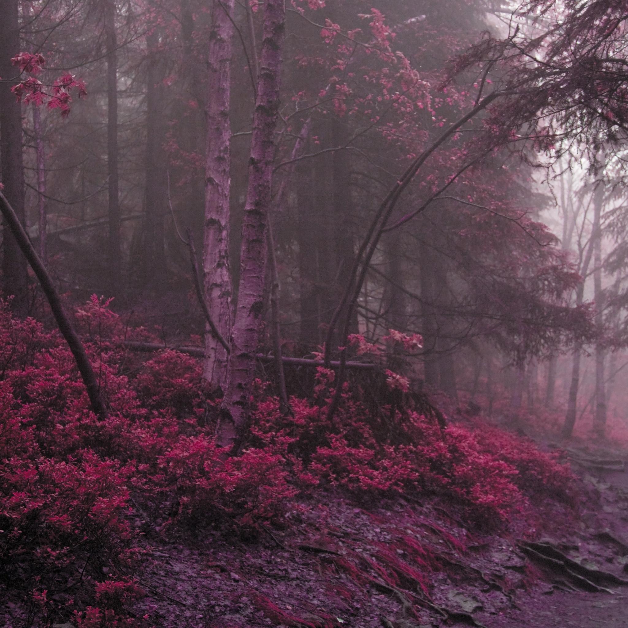 Pink Forest Phone Wallpapers - Top Free Pink Forest Phone Backgrounds ...