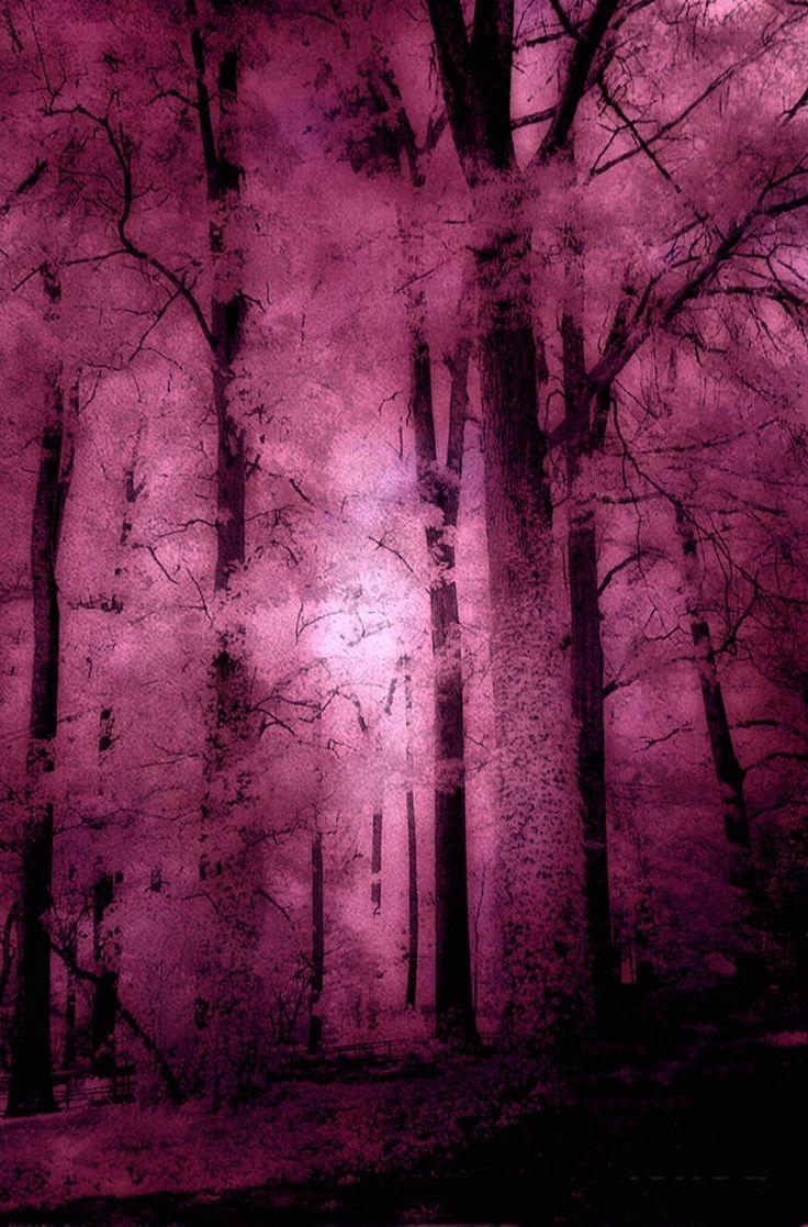 Pink Forest Phone Wallpapers - Top Free Pink Forest Phone Backgrounds ...
