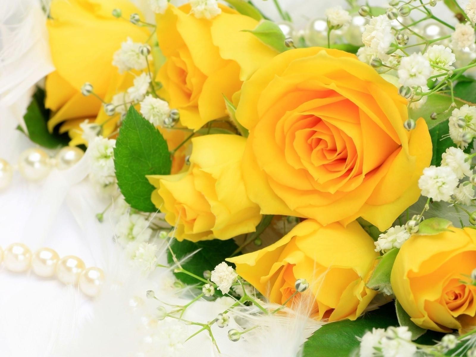 Yellow Roses Romantic Wallpapers - Top Free Yellow Roses Romantic ...