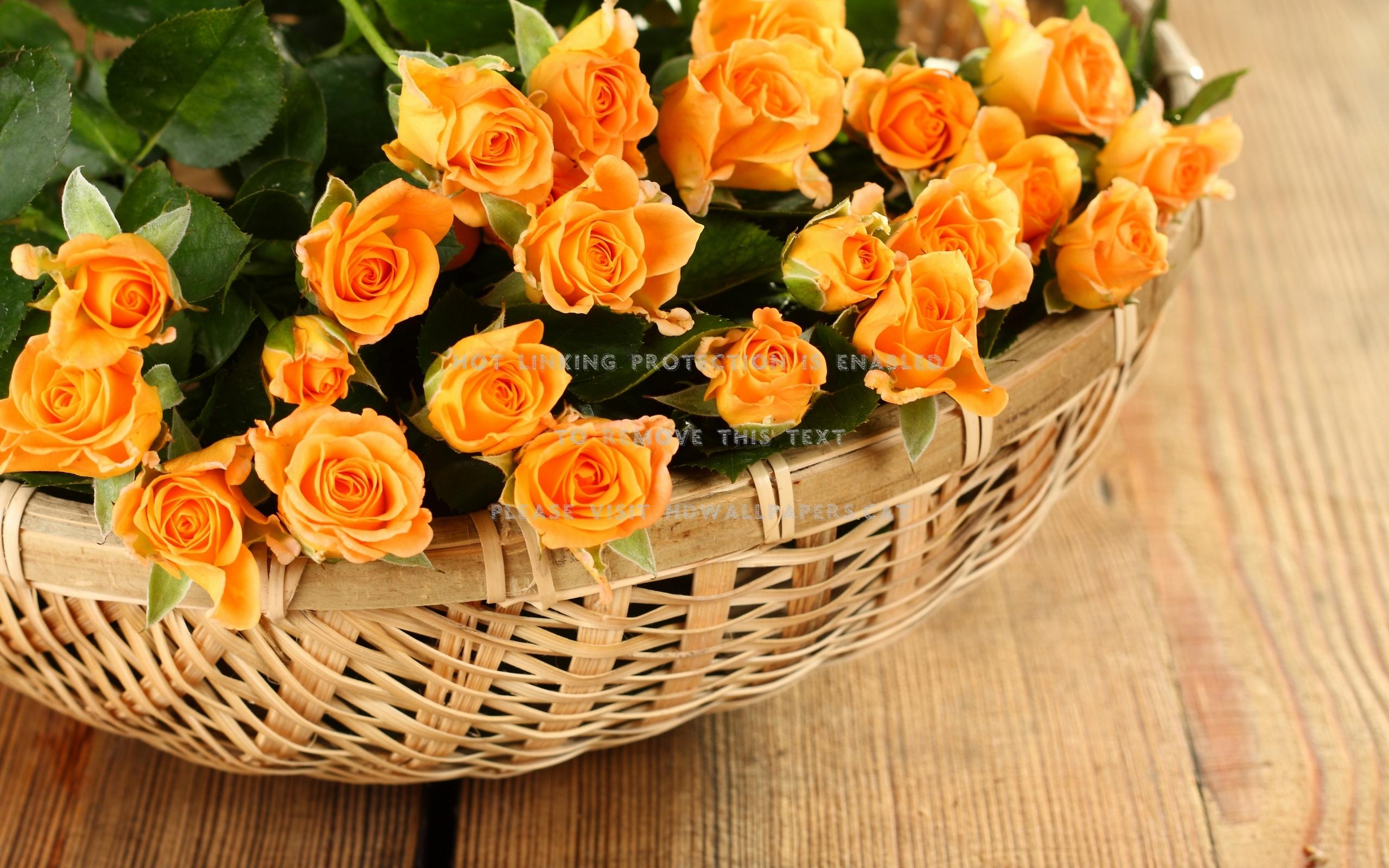 Yellow Roses Romantic Wallpapers - Top Free Yellow Roses Romantic ...