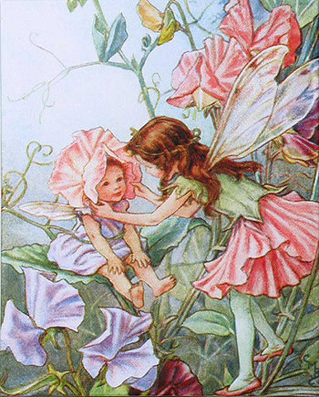 Flower Fairies Wallpapers - Top Free Flower Fairies Backgrounds ...
