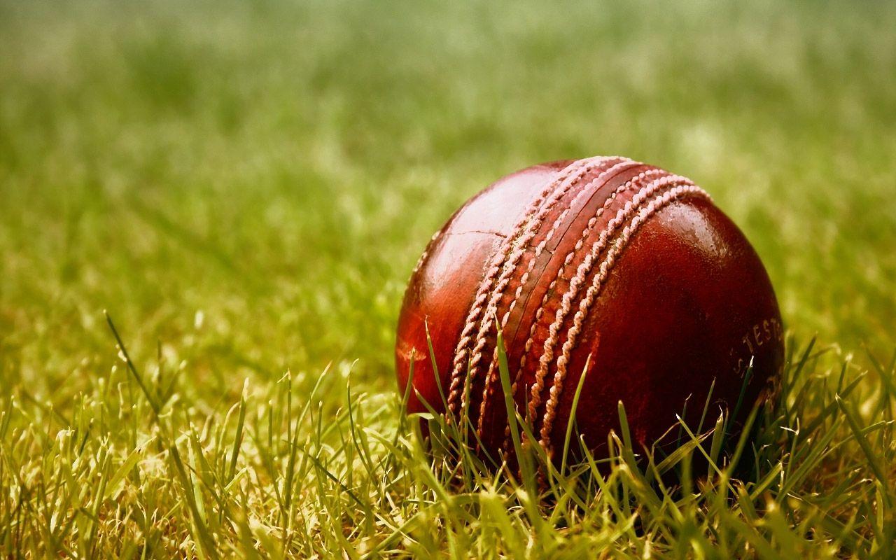 Cricket PC Wallpapers - Top Free Cricket PC Backgrounds - WallpaperAccess