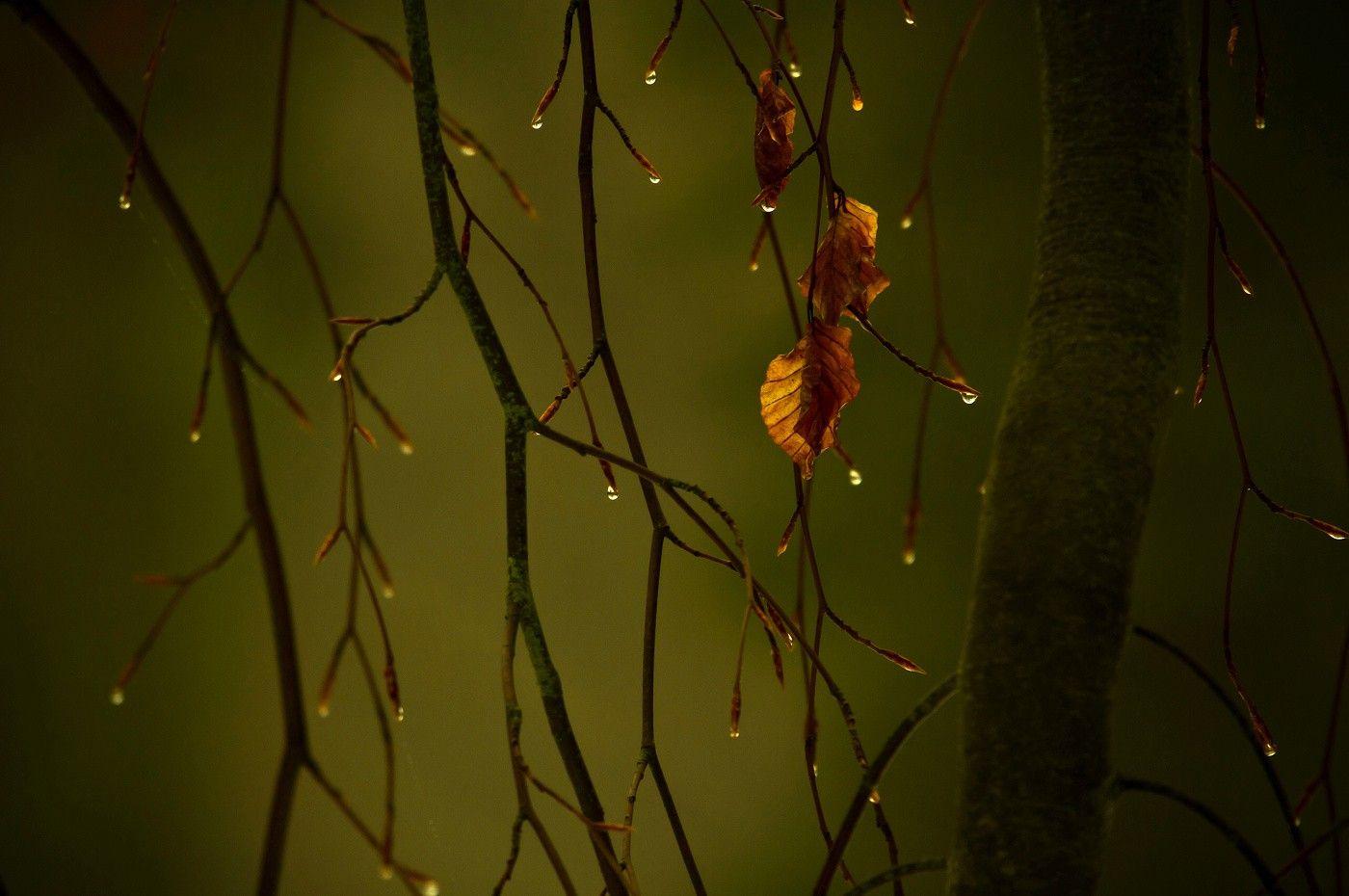 Winter Rain Wallpapers Top Free Winter Rain Backgrounds Wallpaperaccess