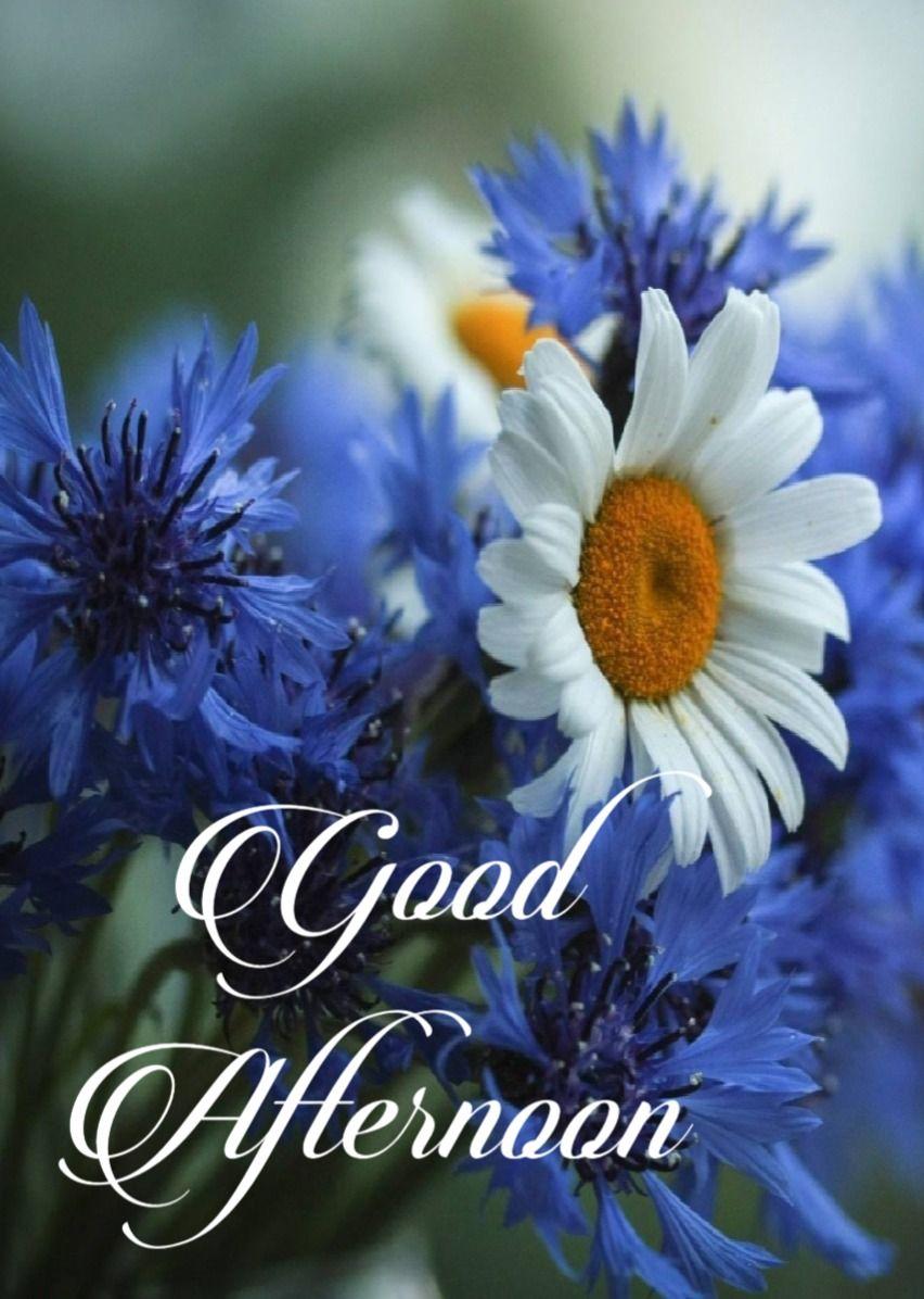 Beautiful Good Afternoon Wallpapers - Top Free Beautiful Good Afternoon ...