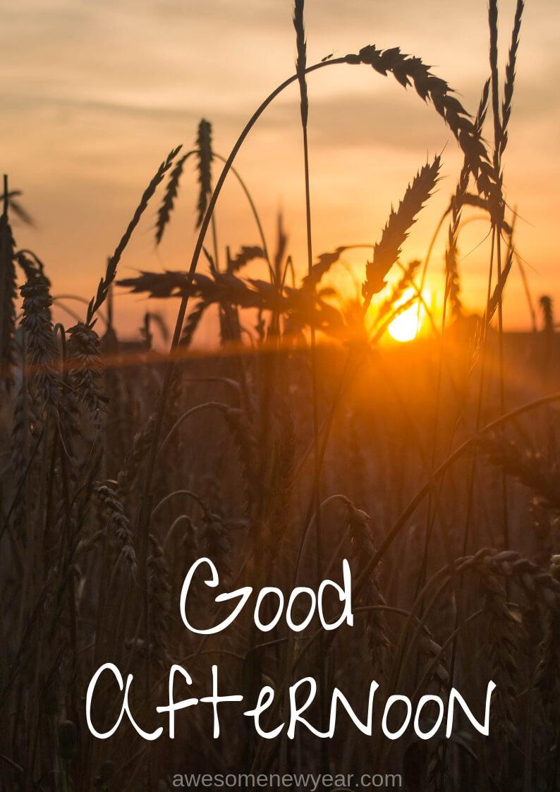 Beautiful Good Afternoon Wallpapers - Top Free Beautiful Good Afternoon ...