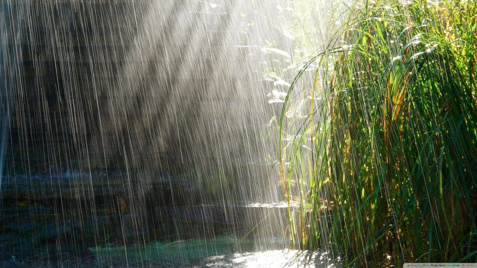 Winter Rain Wallpapers - Top Free Winter Rain Backgrounds - WallpaperAccess