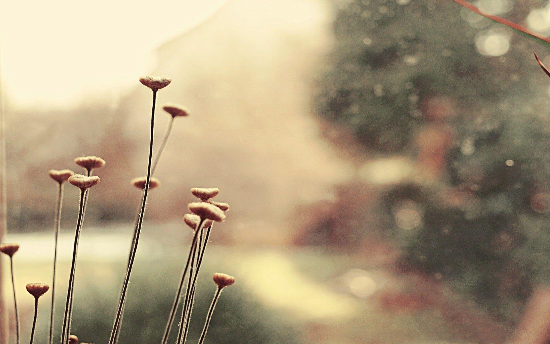 Winter Rain Wallpapers - Top Free Winter Rain Backgrounds - WallpaperAccess