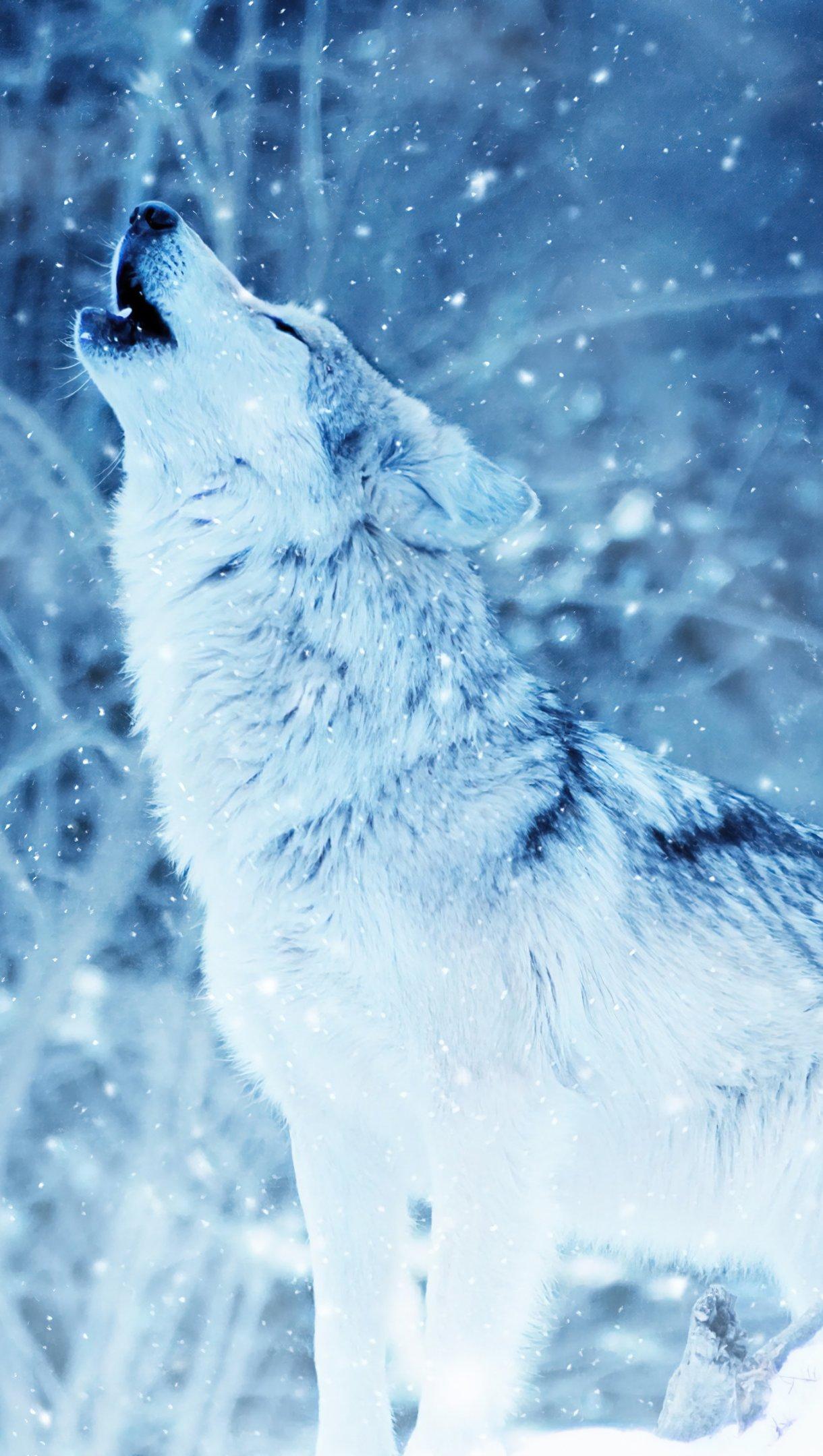 Wolves Howling Wallpapers - Top Free Wolves Howling Backgrounds ...