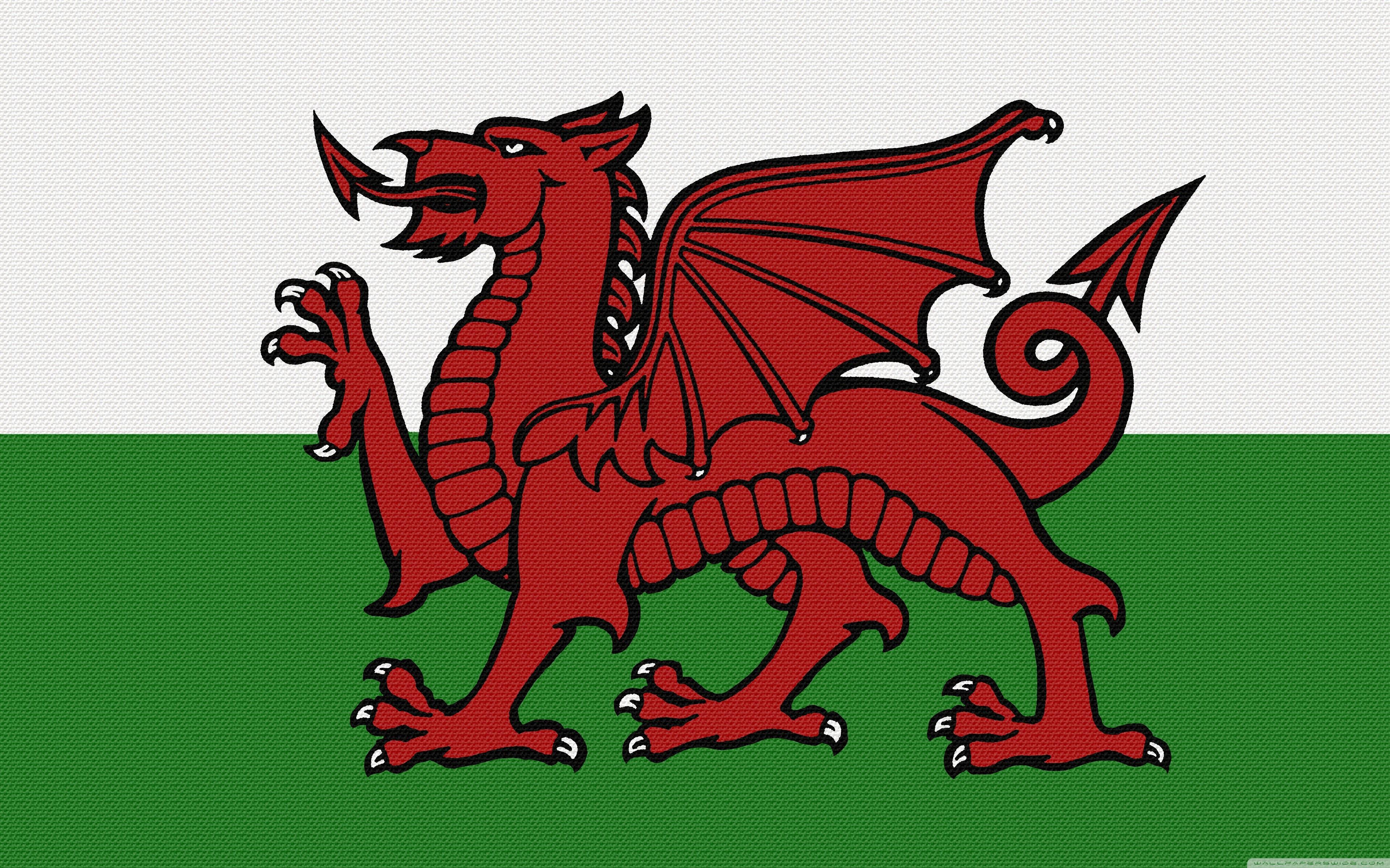 Welsh Dragon Wallpapers - Top Free Welsh Dragon Backgrounds - WallpaperAccess