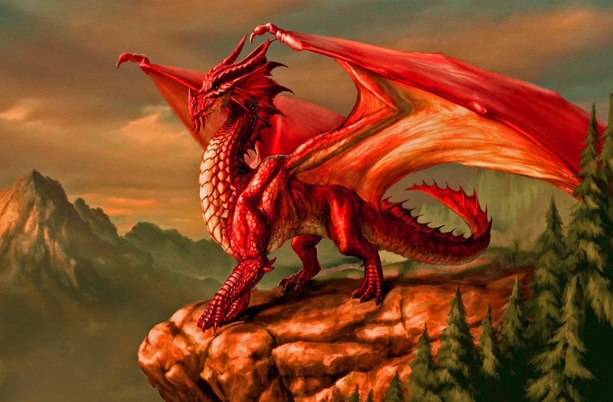 Welsh Dragon Wallpapers - Top Free Welsh Dragon Backgrounds ...