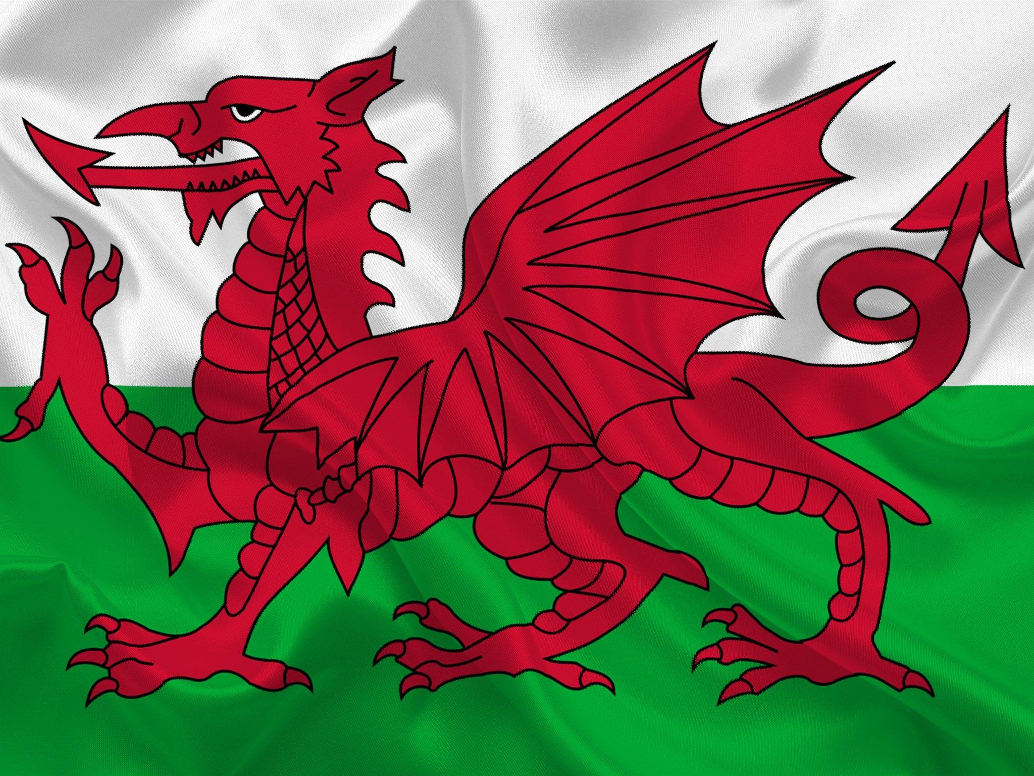 Welsh Dragon Wallpapers - Top Free Welsh Dragon Backgrounds - WallpaperAccess
