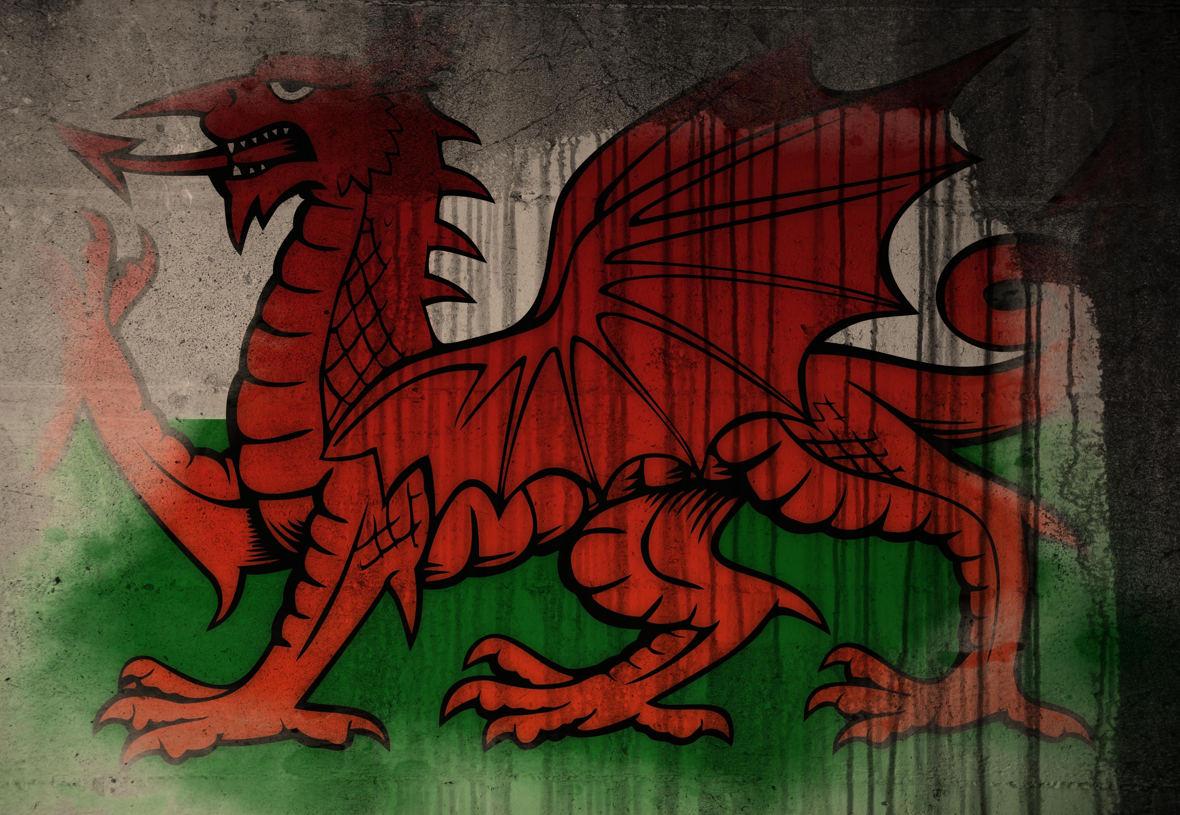 Welsh Dragon Wallpapers - Top Free Welsh Dragon Backgrounds ...