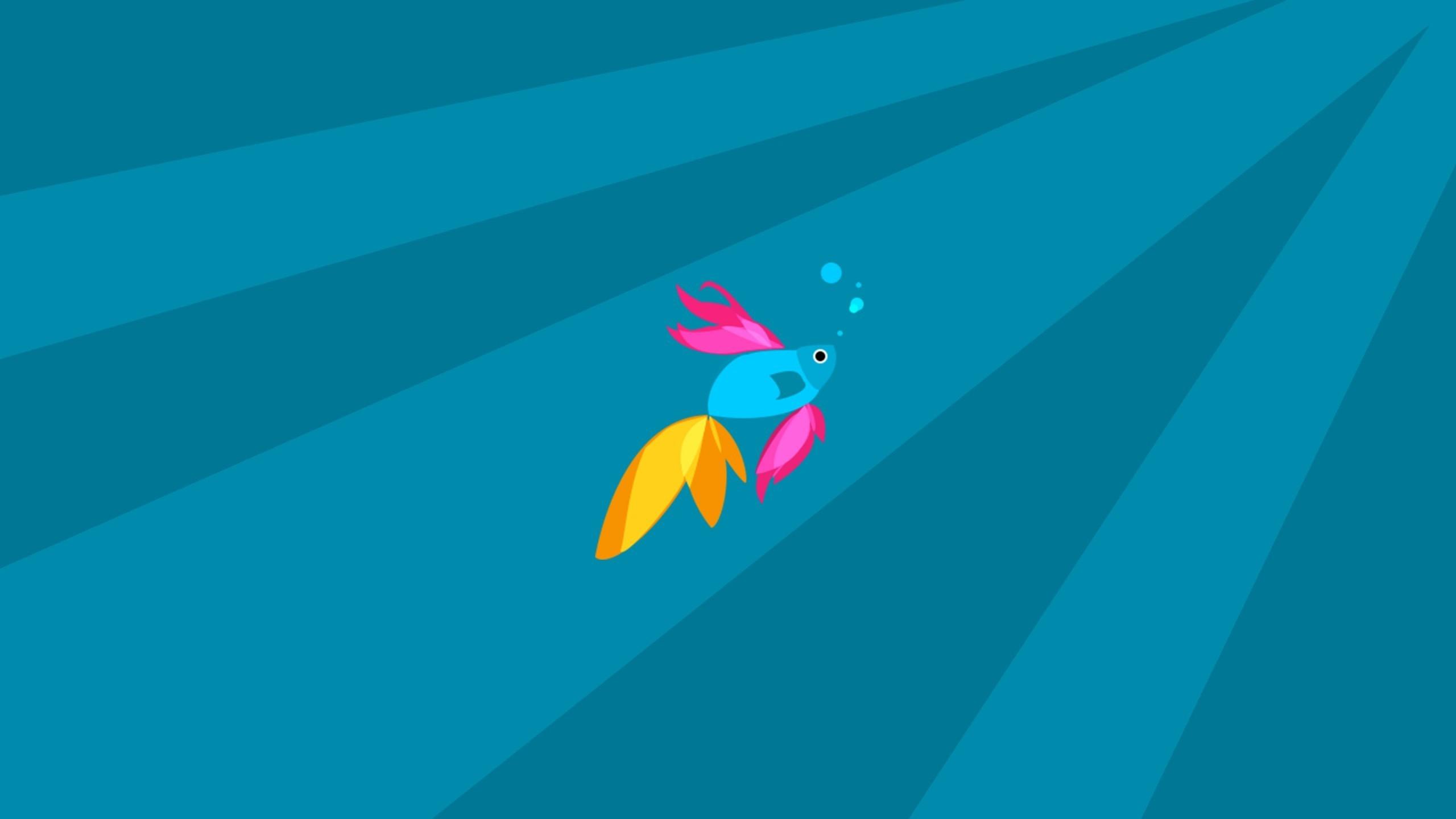 Windows 8 Fish Wallpapers - Top Free Windows 8 Fish Backgrounds ...