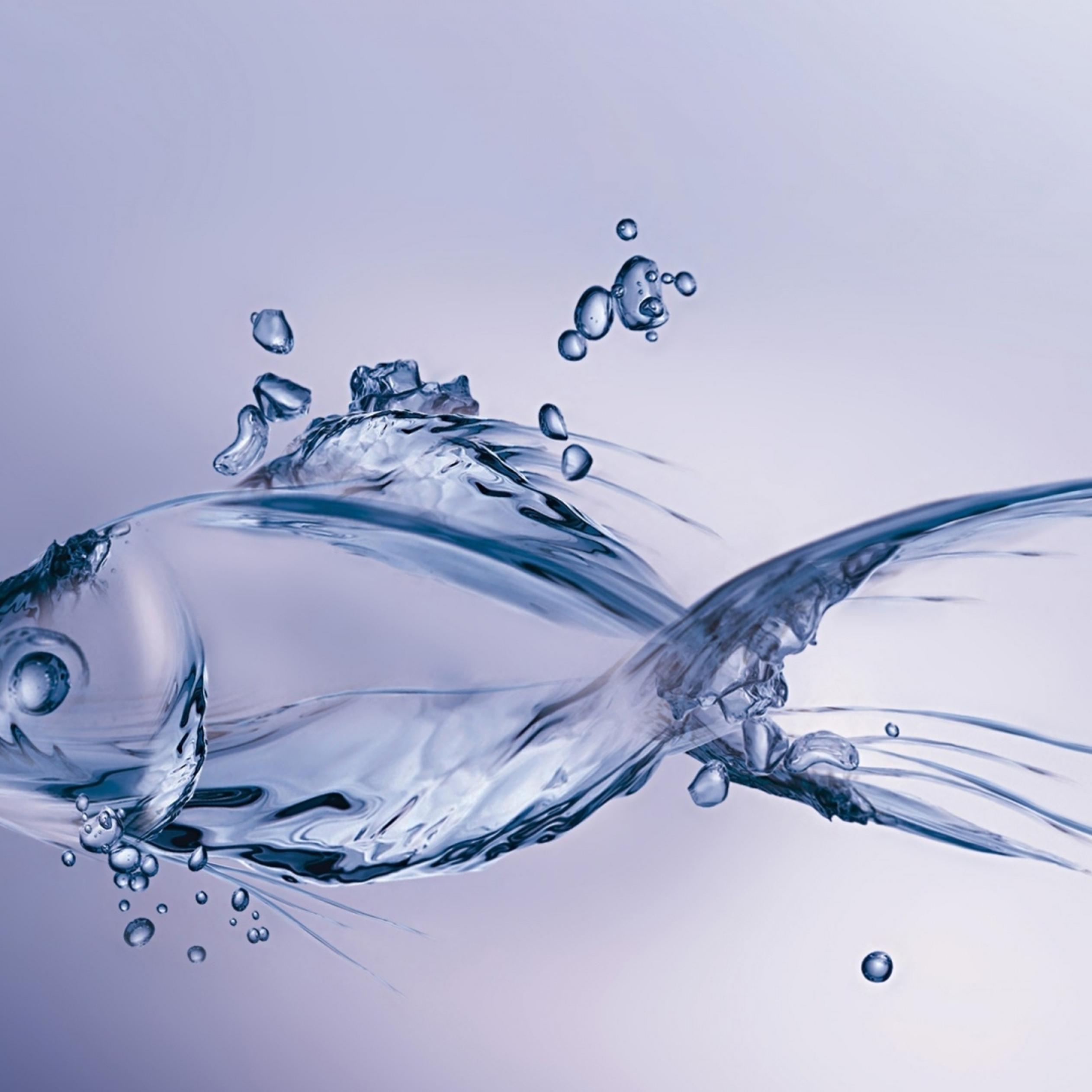 Windows 8 Fish Wallpapers - Top Free Windows 8 Fish Backgrounds ...