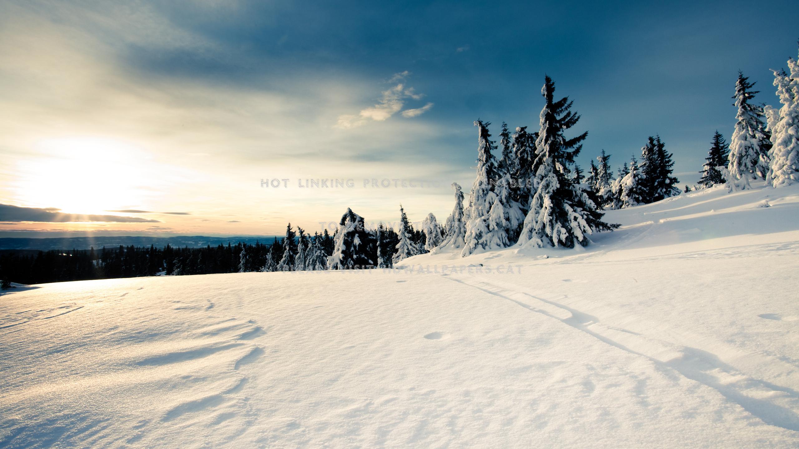 Snow Scenery HD Wallpapers - Top Free Snow Scenery HD Backgrounds ...