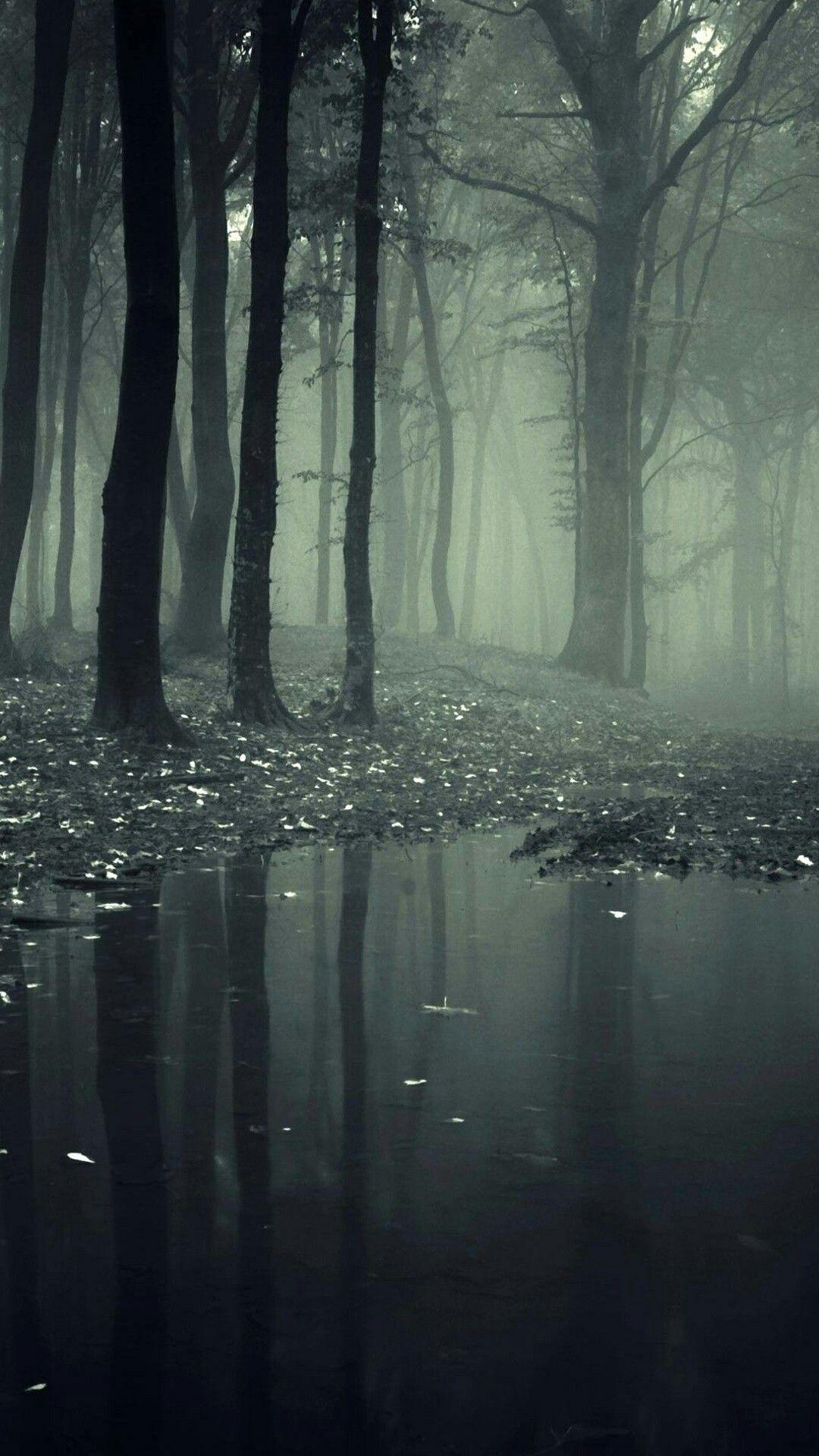 Scary Nature Wallpapers - Top Free Scary Nature Backgrounds ...