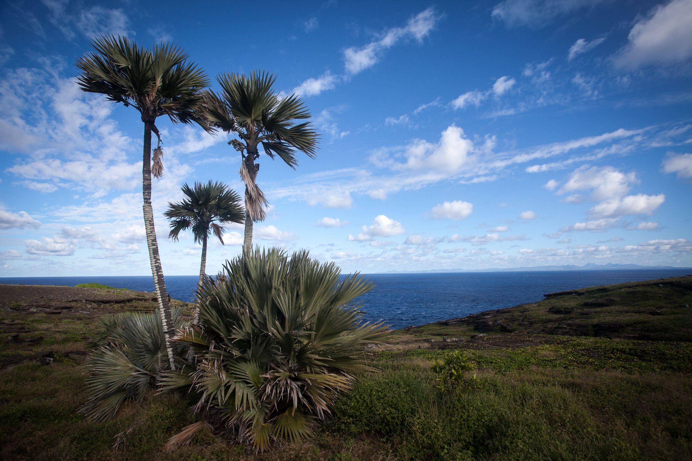 2400X1600 Contrast Wallpapers - Top Free 2400X1600 Contrast Backgrounds - WallpaperAccess