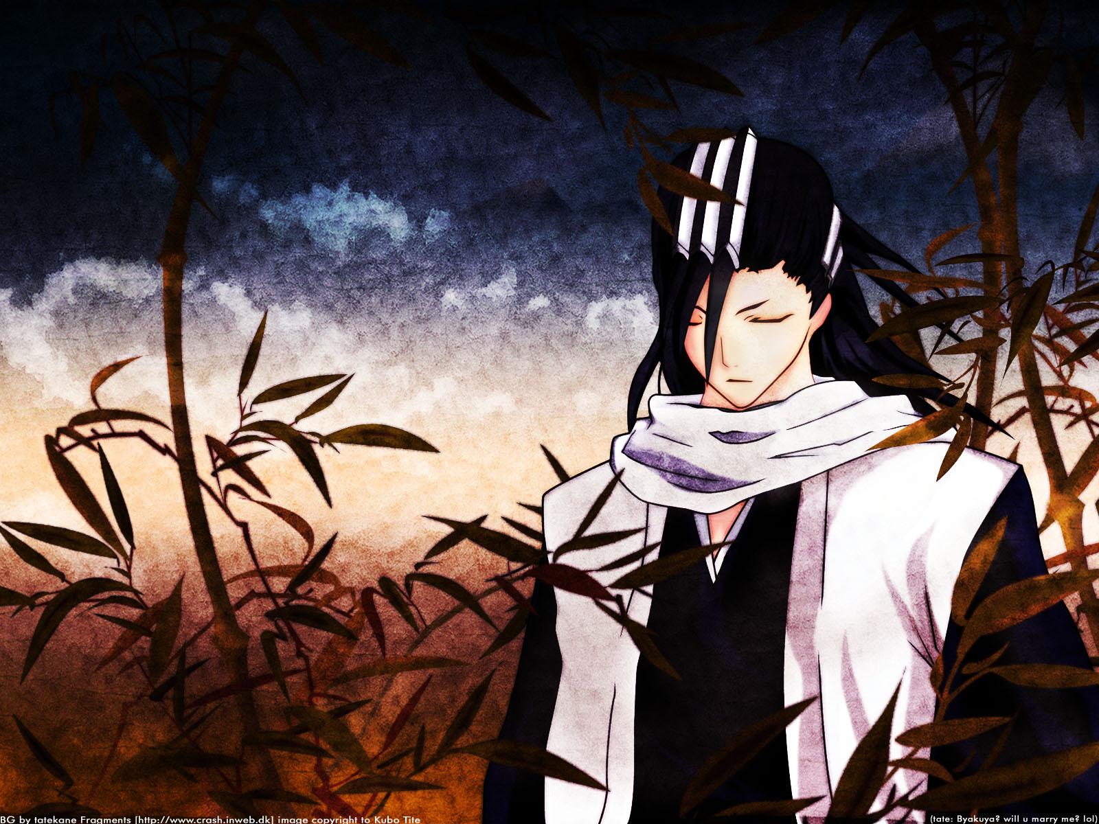 Byakuya Wallpapers - Top Free Byakuya Backgrounds - WallpaperAccess