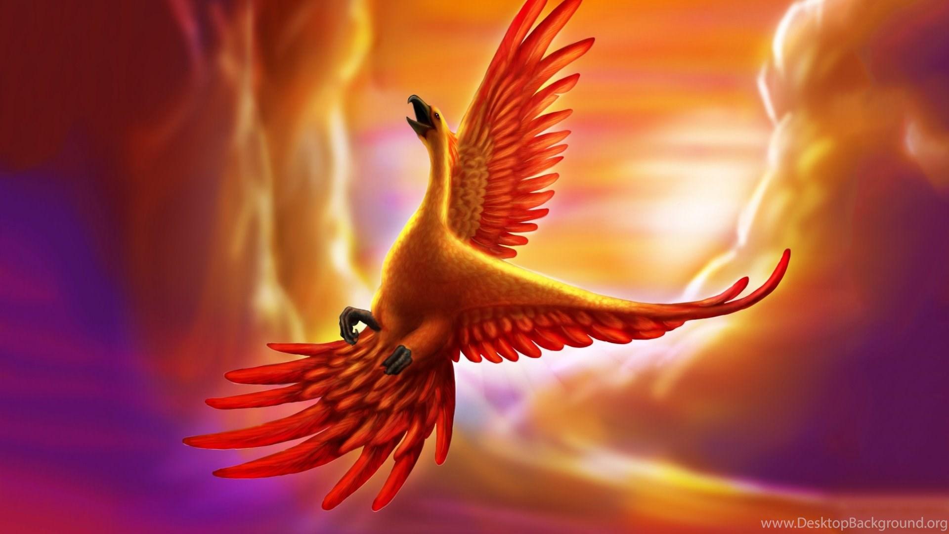 4K Phoenix Bird Wallpapers - Top Free 4K Phoenix Bird Backgrounds ...