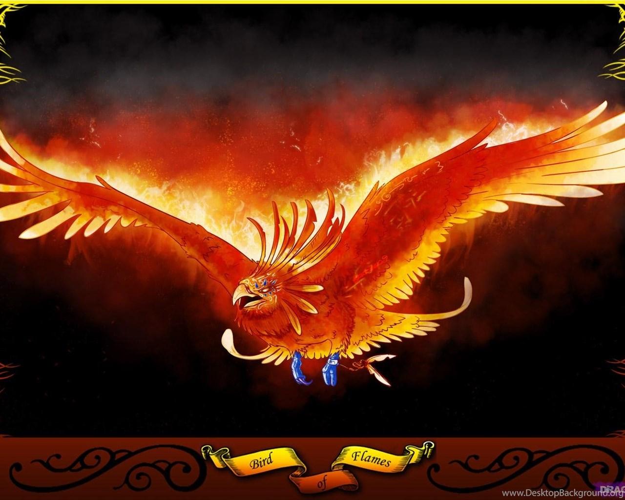 4K Phoenix Bird Wallpapers - Top Free 4K Phoenix Bird Backgrounds ...