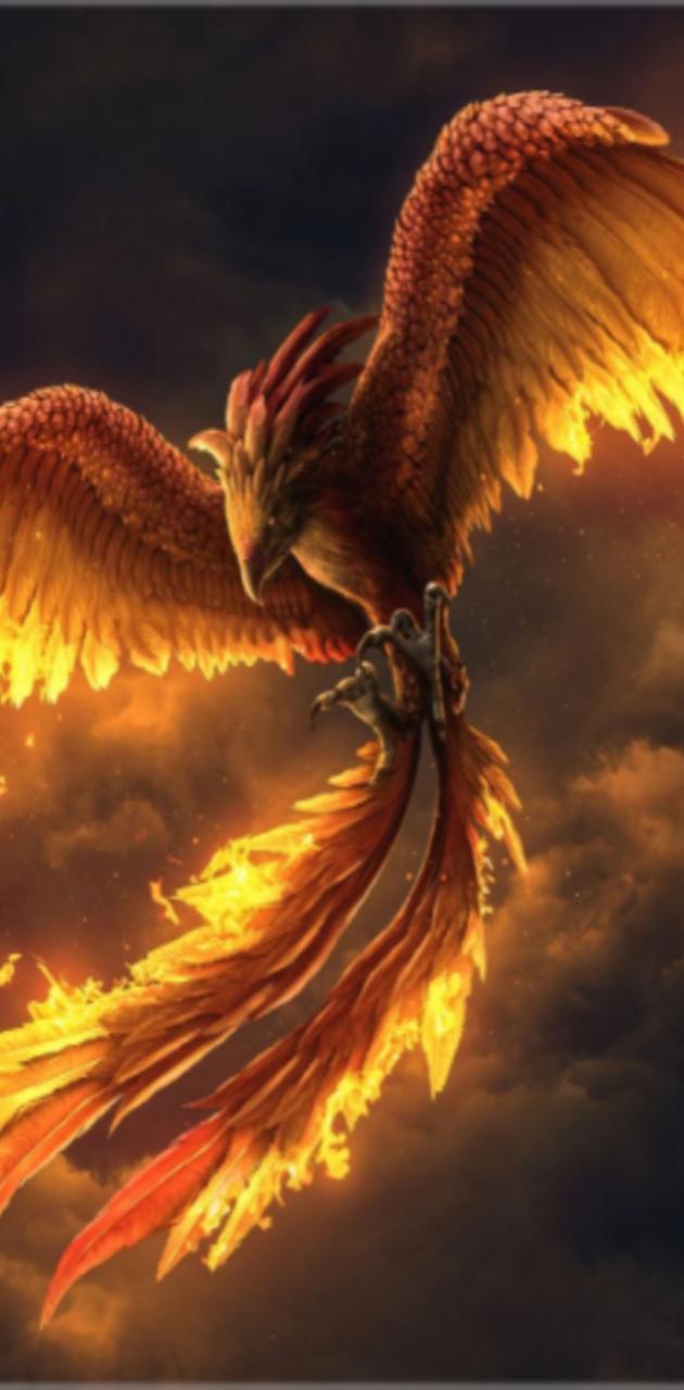 4K Phoenix Bird Wallpapers - Top Free 4K Phoenix Bird Backgrounds ...
