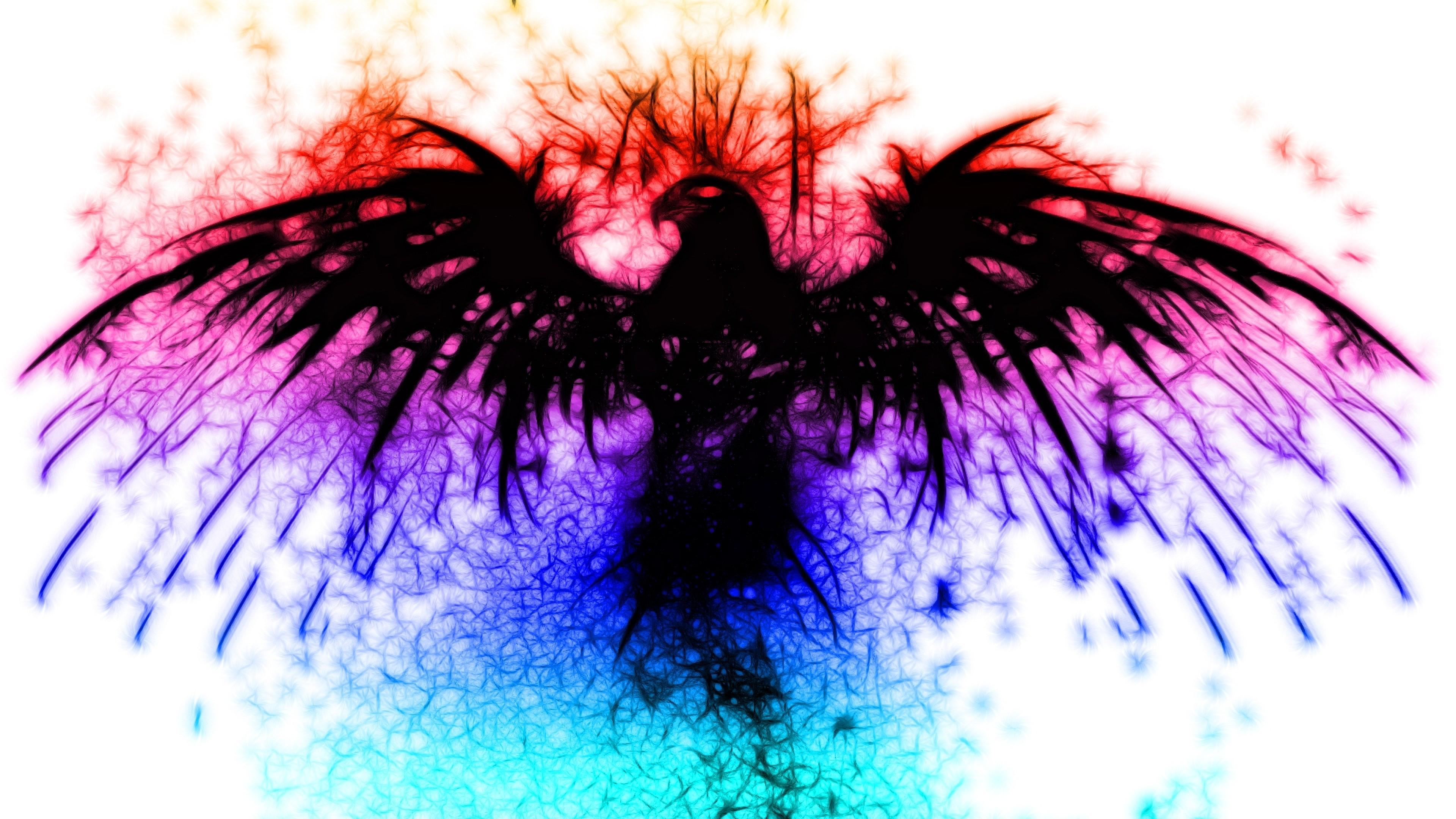 4K Phoenix Bird Wallpapers - Top Free 4K Phoenix Bird Backgrounds ...