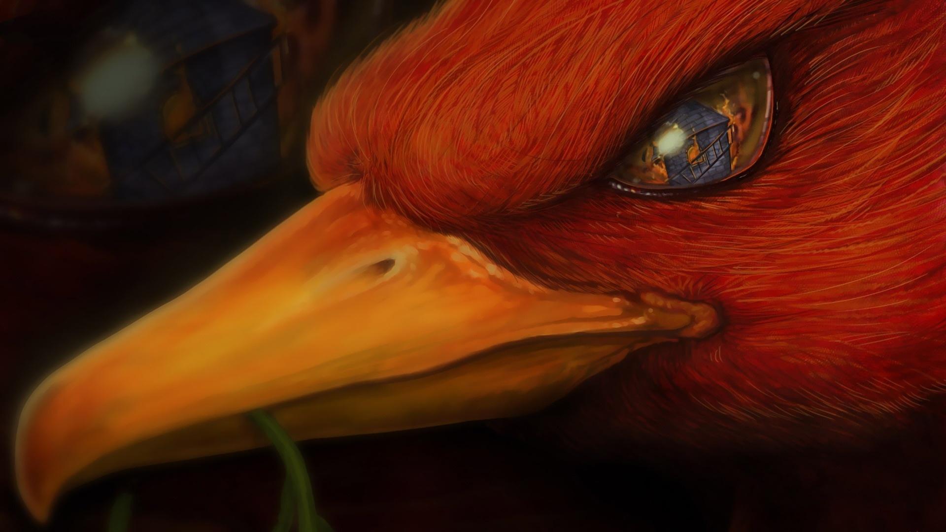 4K Phoenix Bird Wallpapers - Top Free 4K Phoenix Bird Backgrounds ...