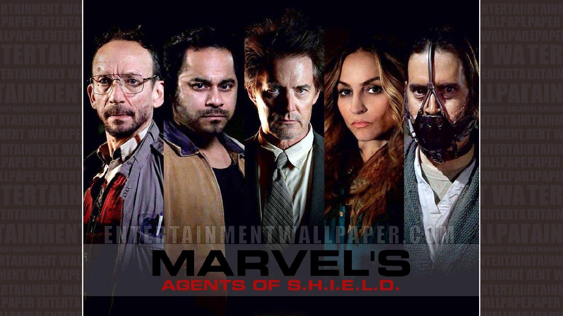 Cool Shield Wallpapers - Top Free Cool Shield Backgrounds - WallpaperAccess