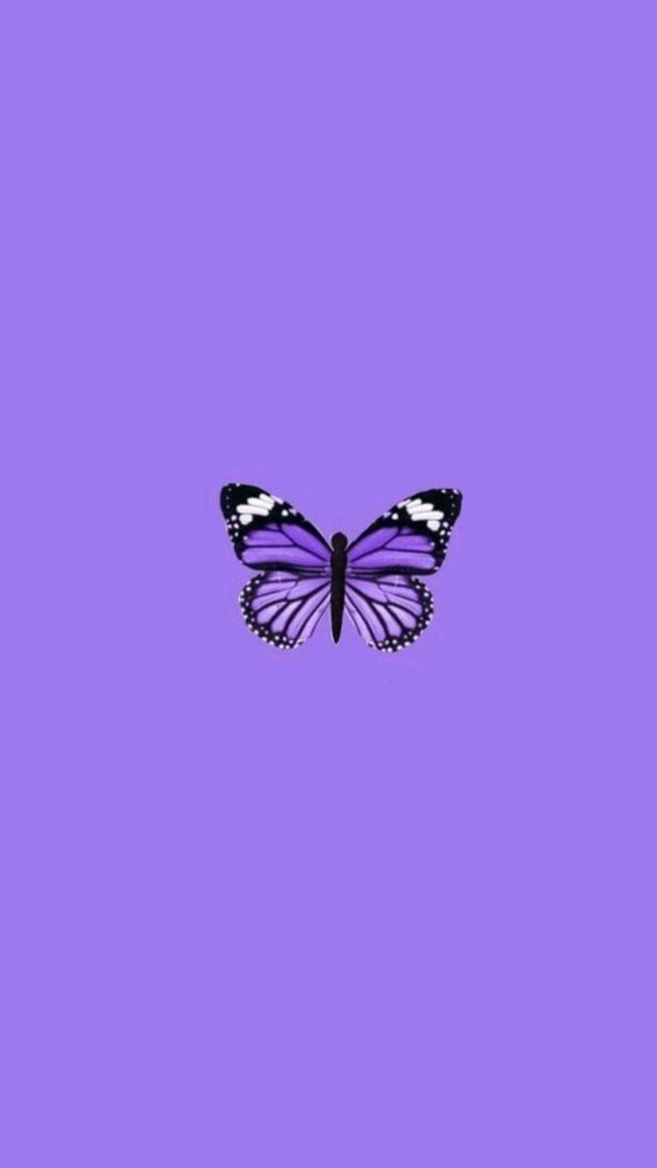 Violet Cute Wallpapers - Top Free Violet Cute Backgrounds - WallpaperAccess