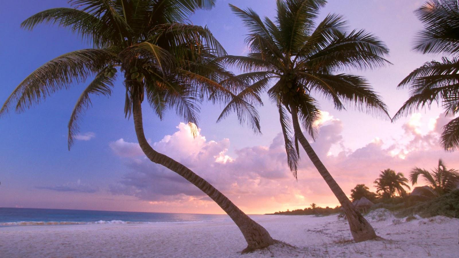 Mexico Beaches Wallpapers - Top Free Mexico Beaches Backgrounds ...