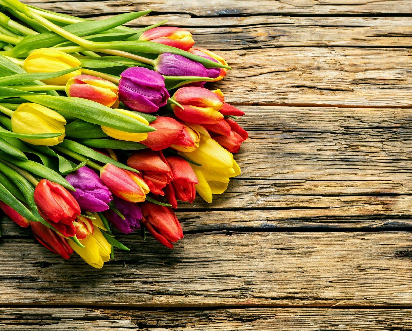 Bright Spring Flowers Desktop Wallpapers - Top Free Bright Spring ...