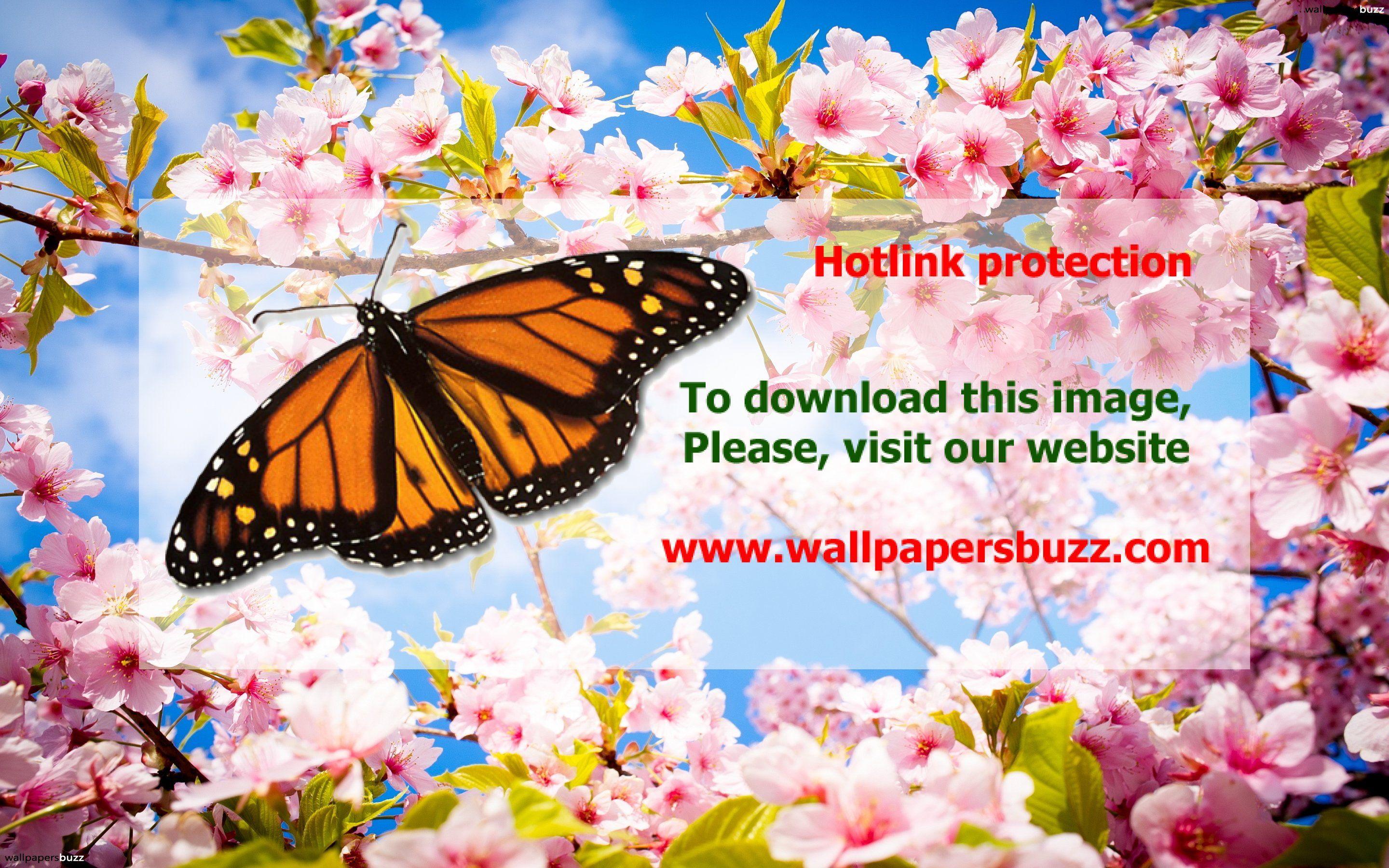 Bright Spring Flowers Desktop Wallpapers - Top Free Bright Spring ...