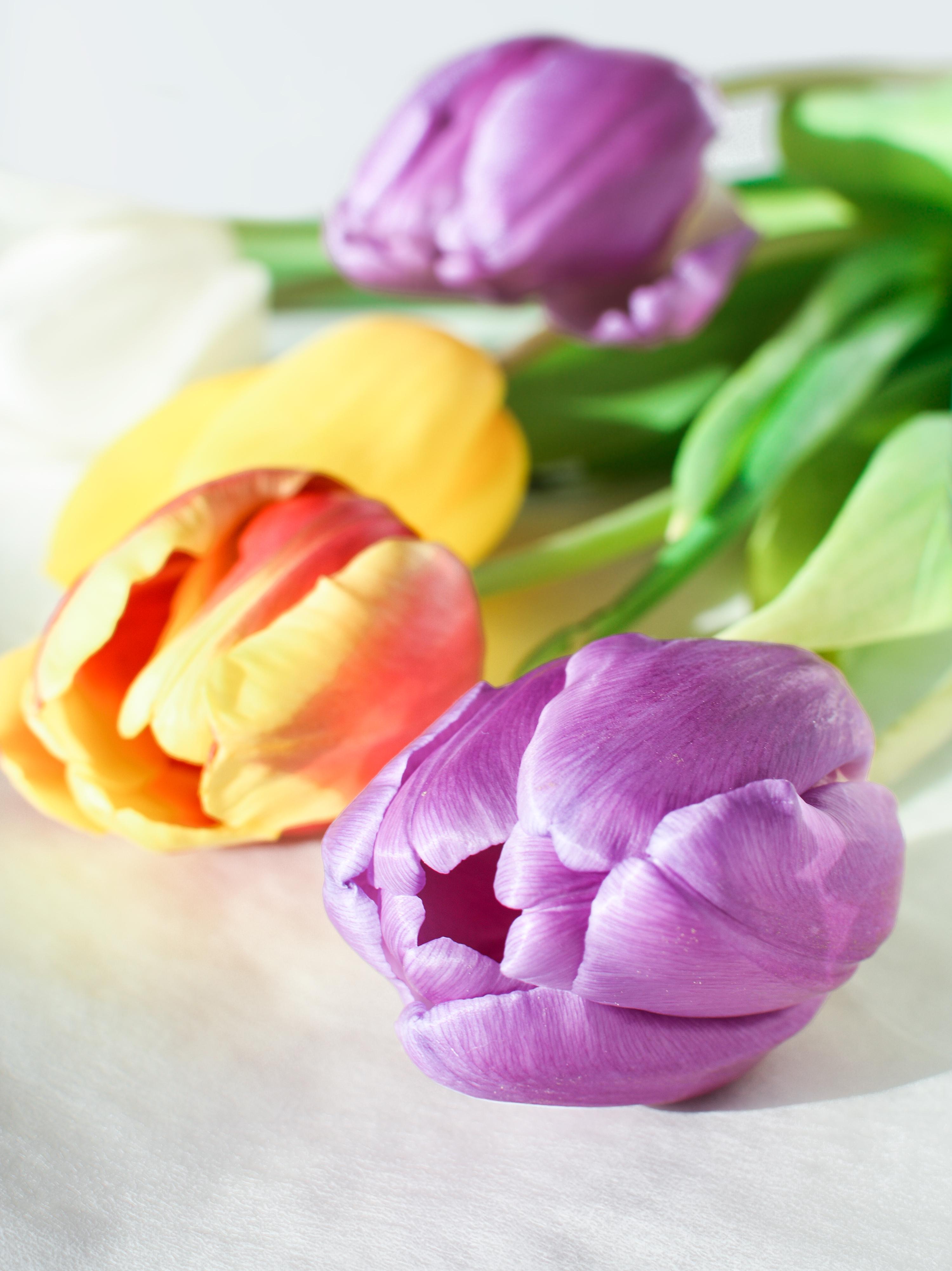 Bright Spring Flowers Desktop Wallpapers - Top Free Bright Spring ...