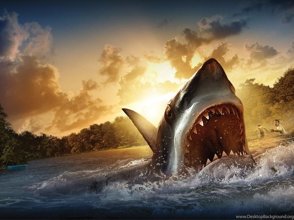 Shark iPad Wallpapers - Top Free Shark iPad Backgrounds - WallpaperAccess