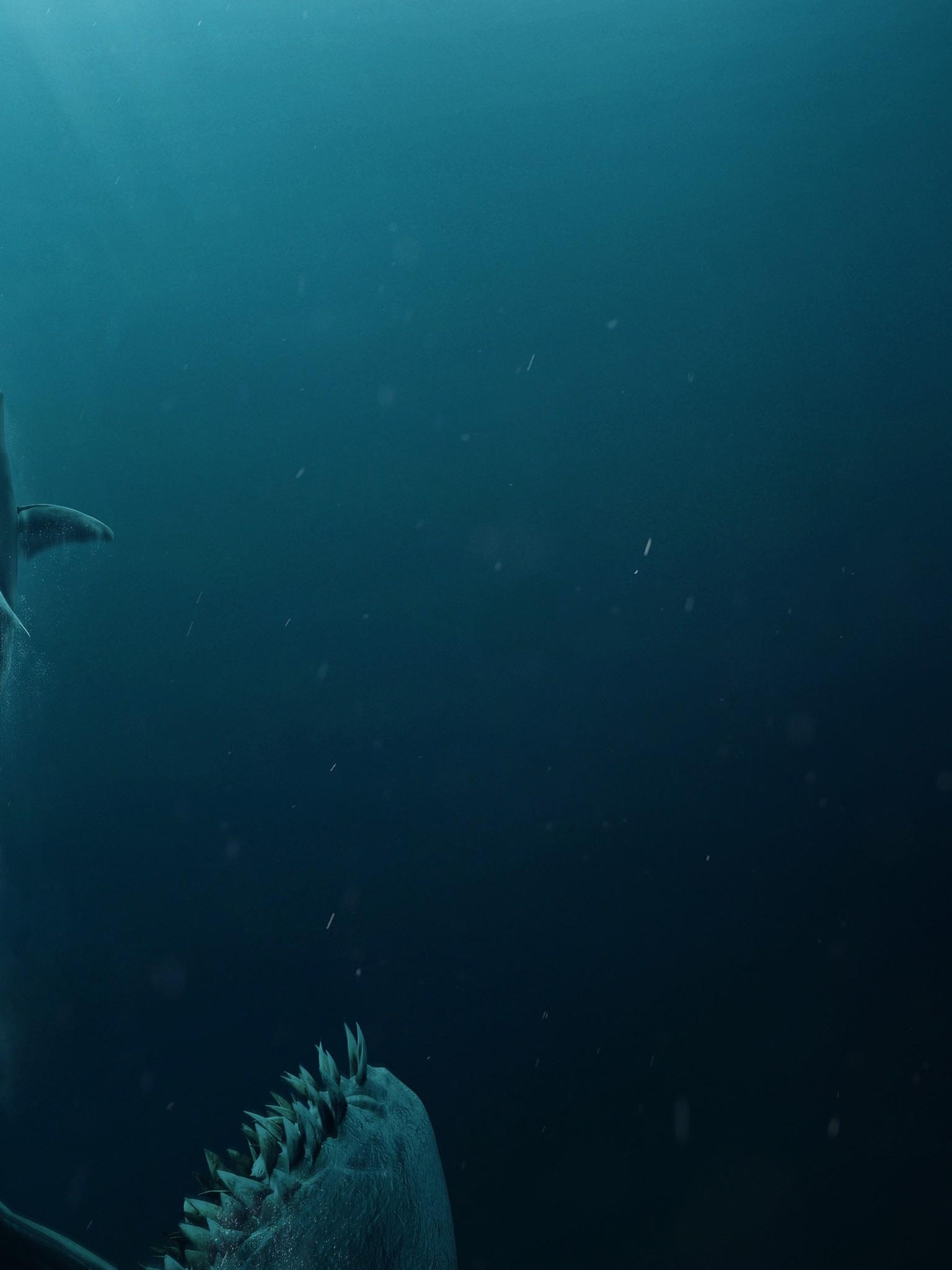 Shark iPad Wallpapers - Top Free Shark iPad Backgrounds - WallpaperAccess