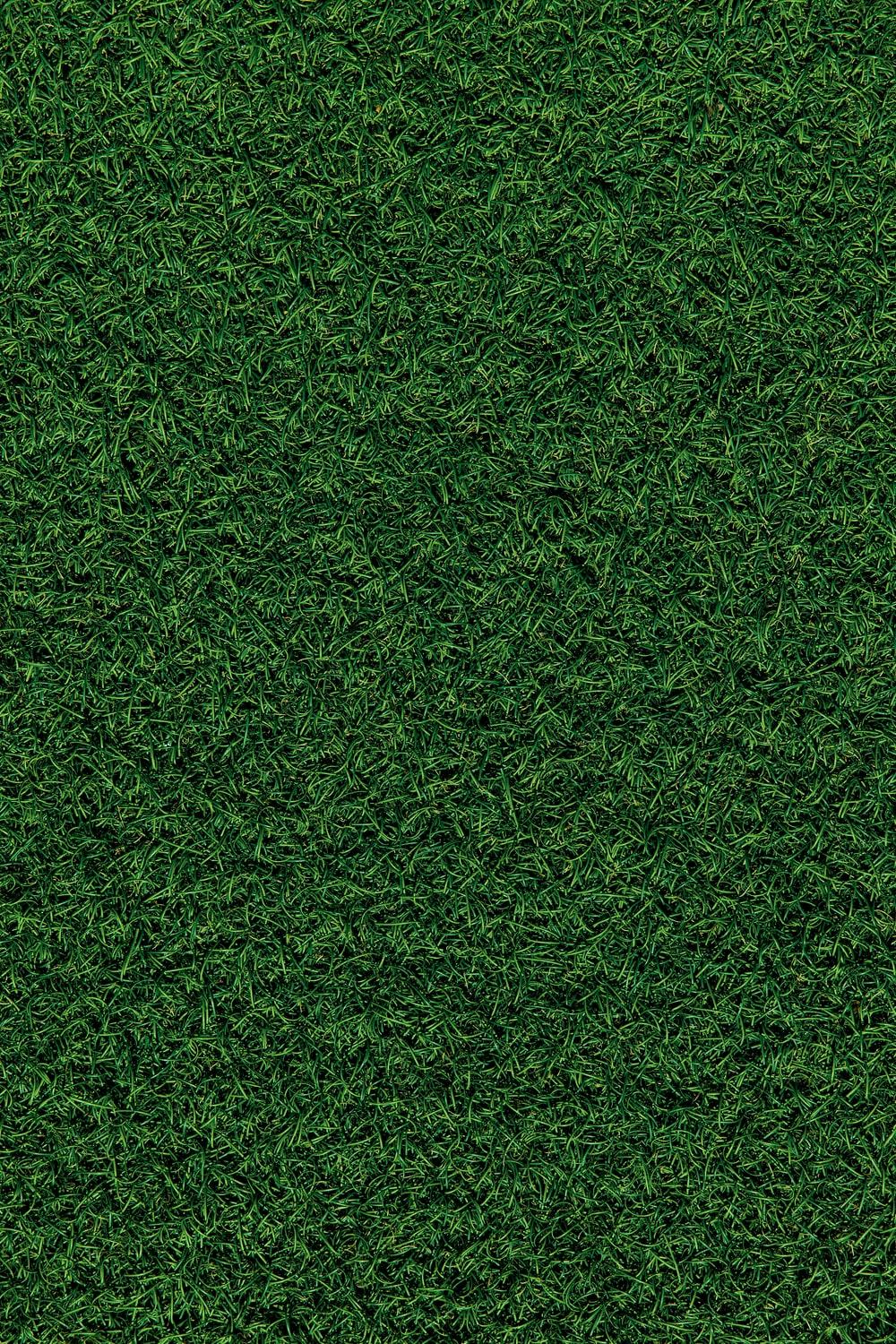 Light Green Texture Wallpapers - Top Free Light Green Texture ...