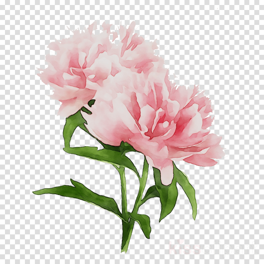 Pink Flower Cartoon Wallpapers - Top Free Pink Flower Cartoon ...