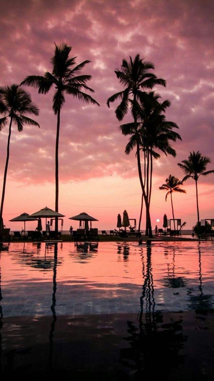 Cute Palm Tree Wallpapers - Top Free Cute Palm Tree Backgrounds ...